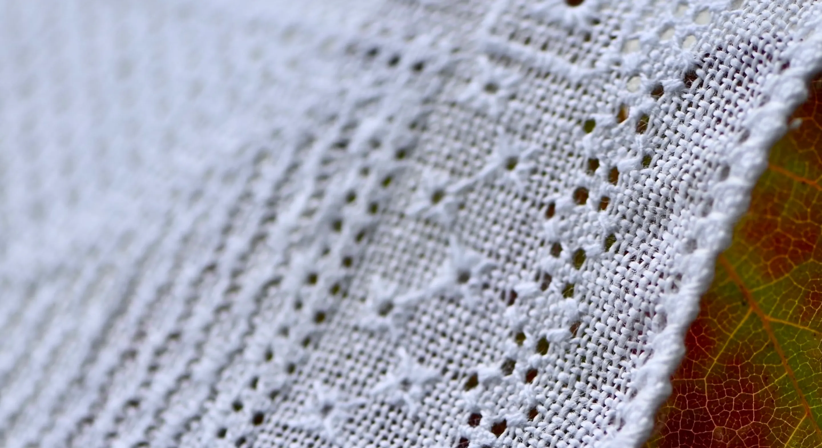 Pulled thread cloth｜SHIROITO ヨーロッパの白い糸の刺しゅう｜1本の白糸から、カルチャーを紡いでいく。